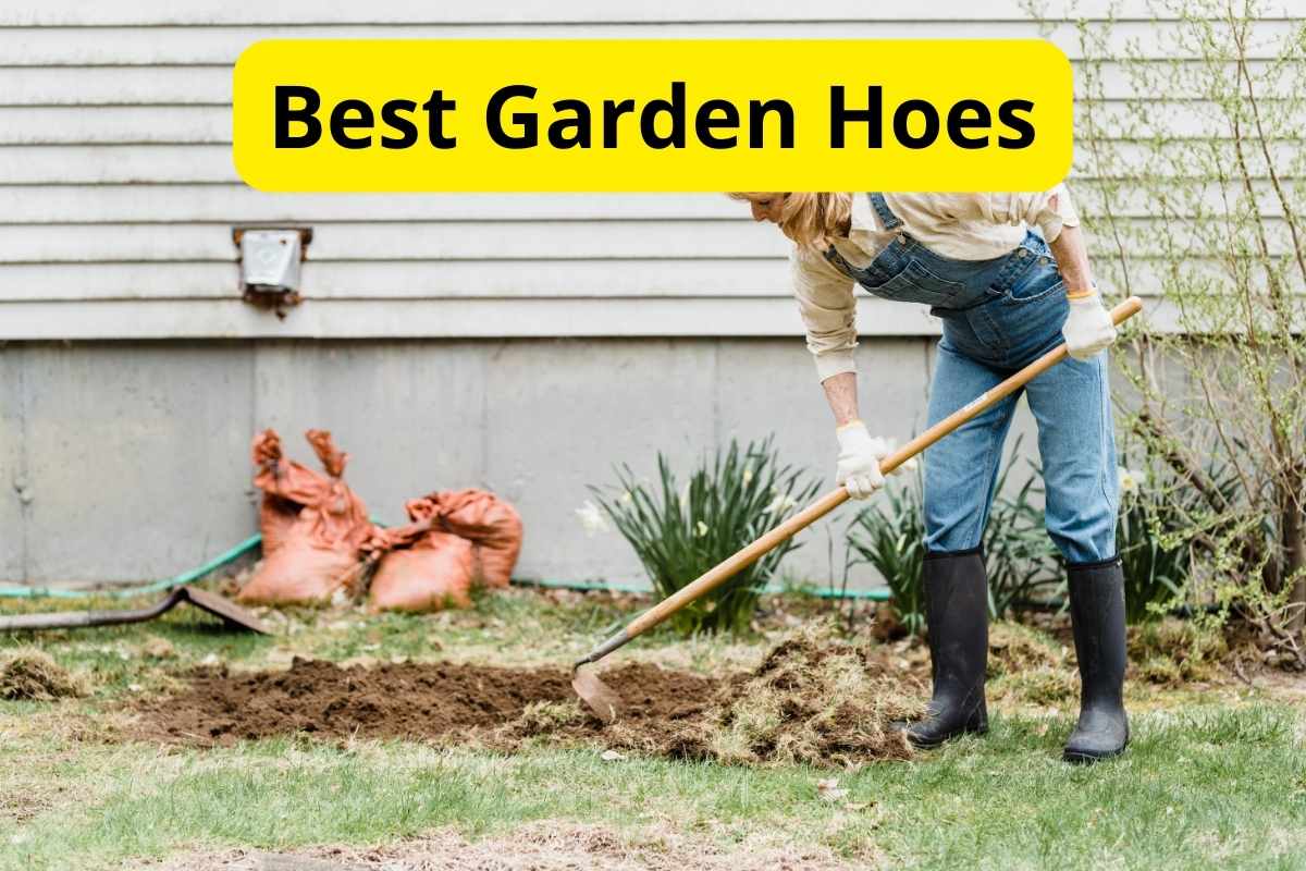 6 Best Garden Hoes of 2024 [Reviews] – Lawnstarter