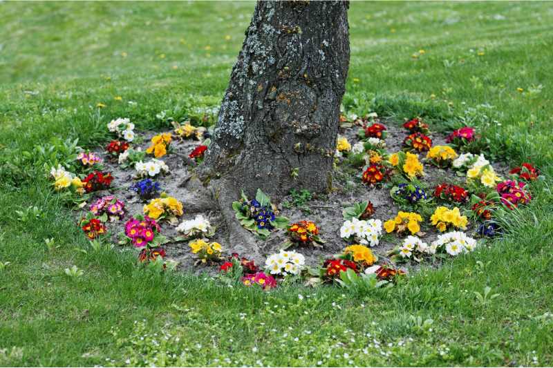 9 Ways to Landscape Around Trees – Lawnstarter